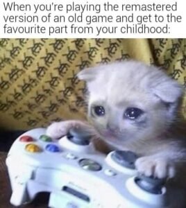 45 Sad Cat Memes That Will Hit You Right in the Feels