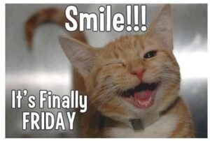 85 Friday Work Memes That Hit Way Too Close to Home