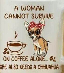 55+ Hilarious Hump Day Memes to Beat Wednesday Blues