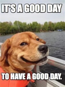 50 Happy Memes That Will Make Your Day Instantly Better
