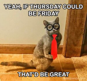 50+ Friday Eve Memes That Capture Your Thursday Energy