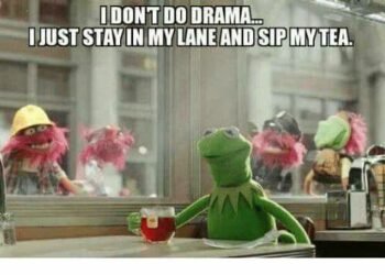 65 Kermit The Frog Memes That Might Lift Your Spirits