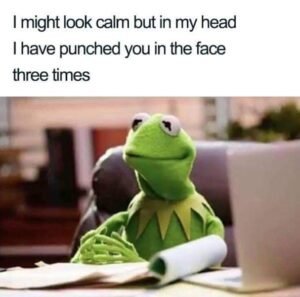 65 Kermit The Frog Memes That Might Lift Your Spirits