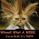 85 Friday Work Memes That Hit Way Too Close to Home