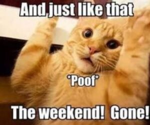 75 Monday Work Memes To Make Your Week Less Painful
