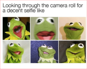 65 Kermit The Frog Memes That Might Lift Your Spirits