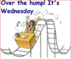 55+ Hilarious Hump Day Memes to Beat Wednesday Blues