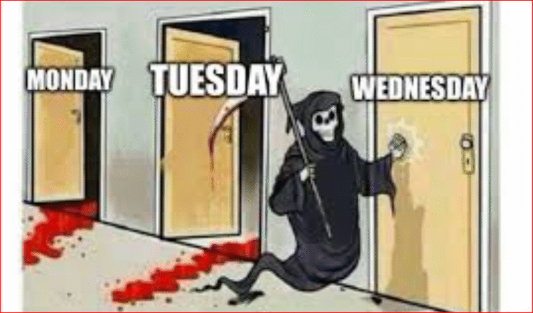 55+ Hilarious Hump Day Memes to Beat Wednesday Blues
