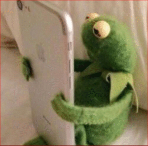 65 Kermit The Frog Memes That Might Lift Your Spirits