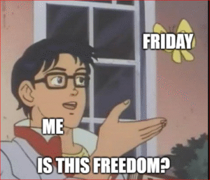 55 Funny Friday Memes That Perfectly Capture the Weekend Feeling