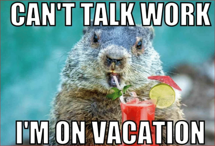 55 Funny Friday Memes That Perfectly Capture the Weekend Feeling