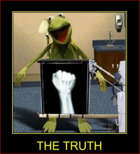 65 Kermit The Frog Memes That Might Lift Your Spirits