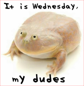 55+ Hilarious Hump Day Memes to Beat Wednesday Blues