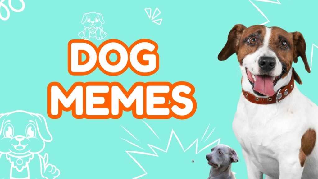 55+ Dog Memes That Will Make You Bark Laughing
