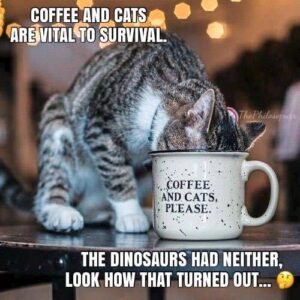 55+ Hilarious Hump Day Memes to Beat Wednesday Blues
