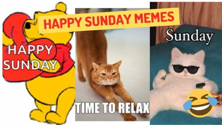 37 Happy Sunday Memes for the Best Weekend Vibes