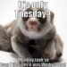50 Tuesday Memes to Celebrate Monday Warrior Status