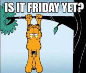 200+ Hilarious Monday Memes You Need in Your Life
