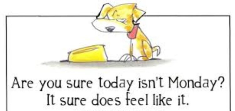 51 Happy Wednesday Memes That Make Hump Day Actually Fun