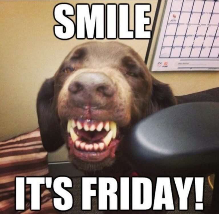 85 Friday Work Memes That Hit Way Too Close to Home