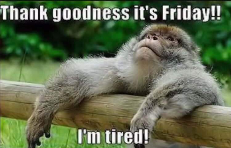 85 Friday Work Memes That Hit Way Too Close to Home