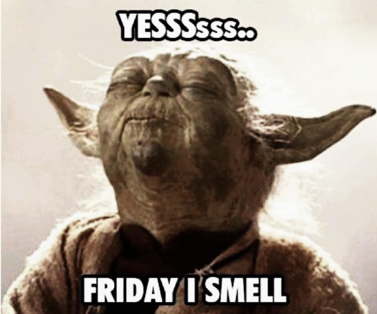 50+ Friday Eve Memes That Capture Your Thursday Energy