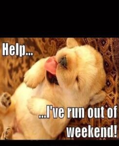 75 Monday Work Memes To Make Your Week Less Painful