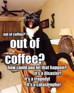 50 Happy Thursday Memes to Power Through Your Week