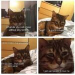 45 Sad Cat Memes That Will Hit You Right in the Feels