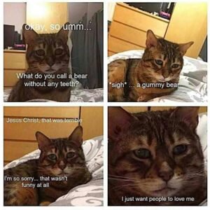45 Sad Cat Memes That Will Hit You Right in the Feels
