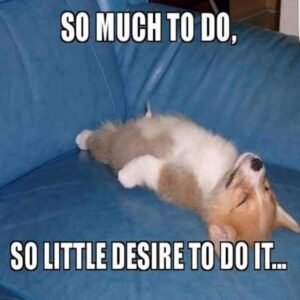 75 Monday Work Memes To Make Your Week Less Painful