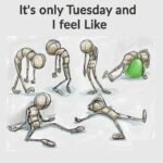 60 Funny Tuesday Memes That Make the Week Fly