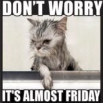 75+ Thursday Work Memes to Make You Laugh Hard Before Friday