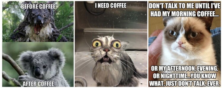 65+ Funny Saturday Memes: Perfect Way to Start Your Weekend