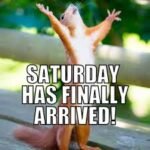 Weekend Memes: 50+ Funny Posts to Brighten Your Days Off