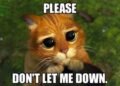 Wednesday Work Memes: 75 Memes to Help You Survive the Week