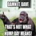 Wednesday Work Memes: 75 Memes to Help You Survive the Week