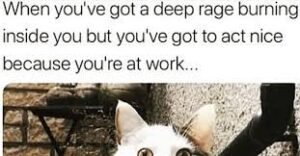 Wednesday Work Memes: 75 Memes to Help You Survive the Week
