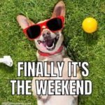 Weekend Memes: Laugh Your Way into the Weekend