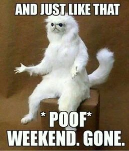 75+ Thursday Work Memes to Make You Laugh Hard Before Friday