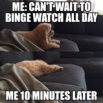 65 Happy Weekend Memes to Kickstart Your Saturday Vibes