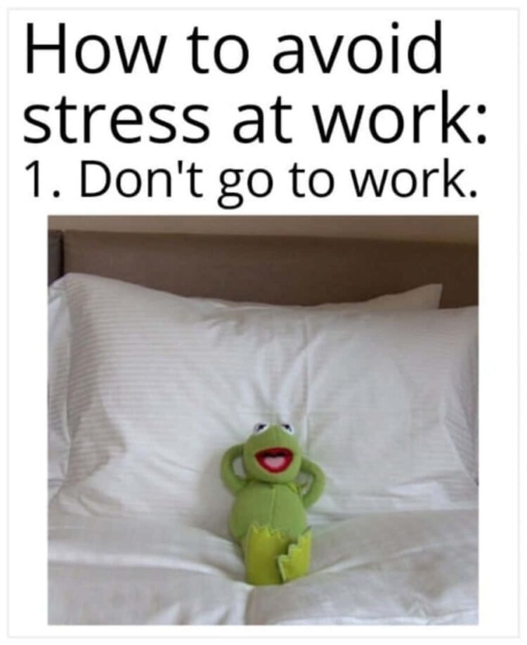 65 Kermit The Frog Memes That Might Lift Your Spirits