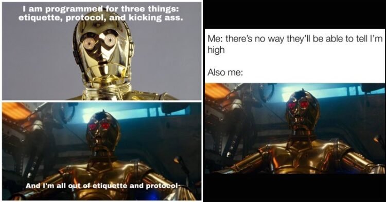 45 Star Wars Memes That Rule the Galaxy with Humor