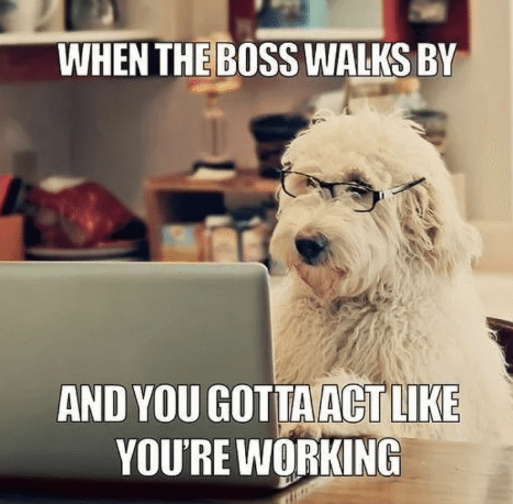 85 Friday Work Memes That Hit Way Too Close to Home