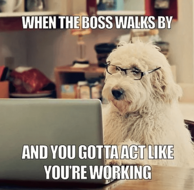 85 Friday Work Memes That Hit Way Too Close to Home