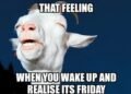 75+ Thursday Work Memes to Make You Laugh Hard Before Friday
