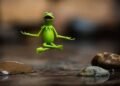 65 Kermit The Frog Memes That Might Lift Your Spirits