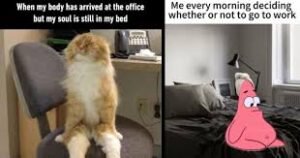 65+ TGIF Memes That Make Friday the Best Day of the Week