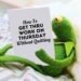 50 Happy Thursday Memes to Power Through Your Week