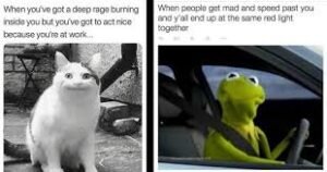 65 Kermit The Frog Memes That Might Lift Your Spirits
